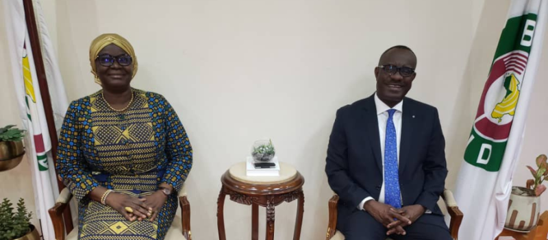 La Commissaire aux Affaires économiques et à l'Agriculture de la CEDEAO ...